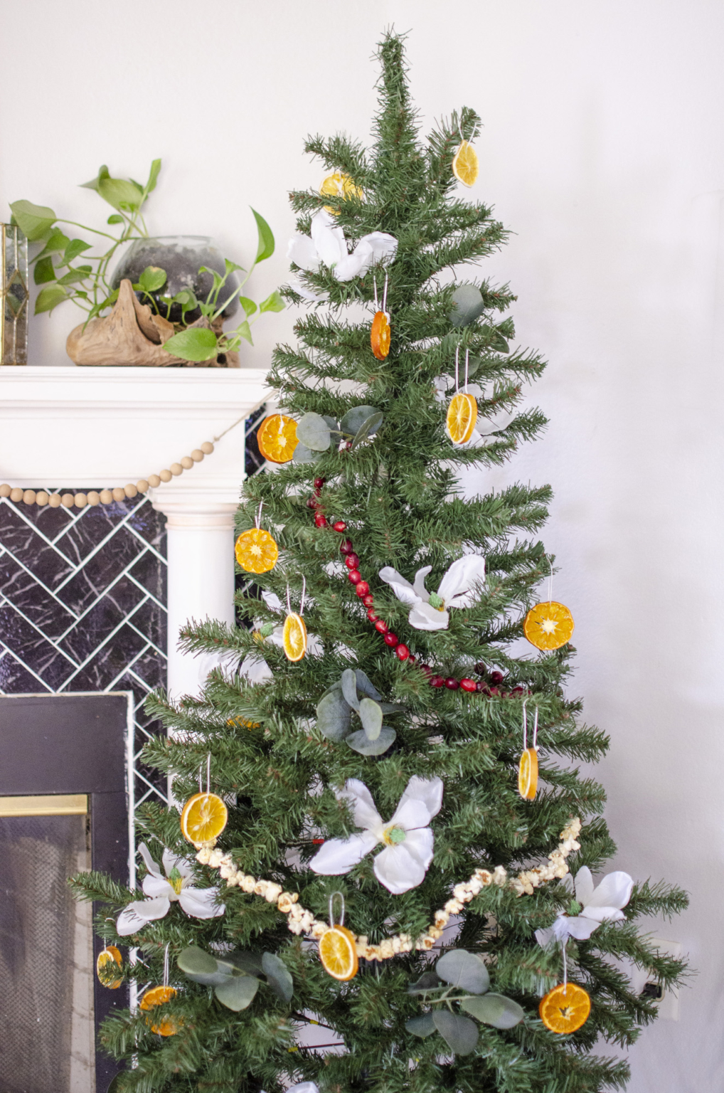 Dried Citrus Decorations for the Holidays • Just Fruits and Exotics