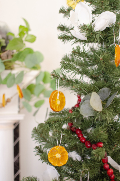Dried Citrus Decorations for the Holidays • Just Fruits and Exotics