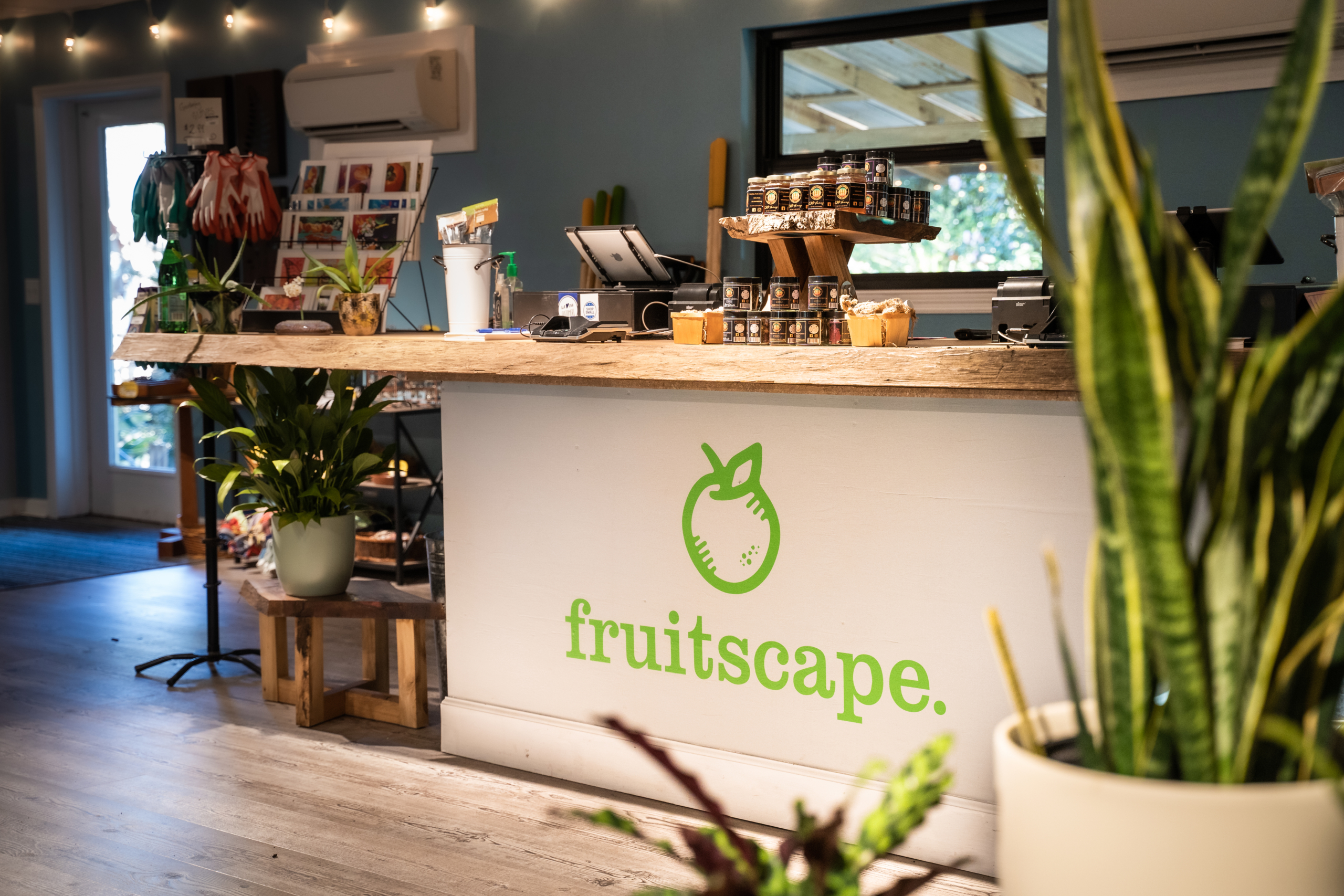 Just Fruits and Exotics Holiday Gift Guide (From Our Store)