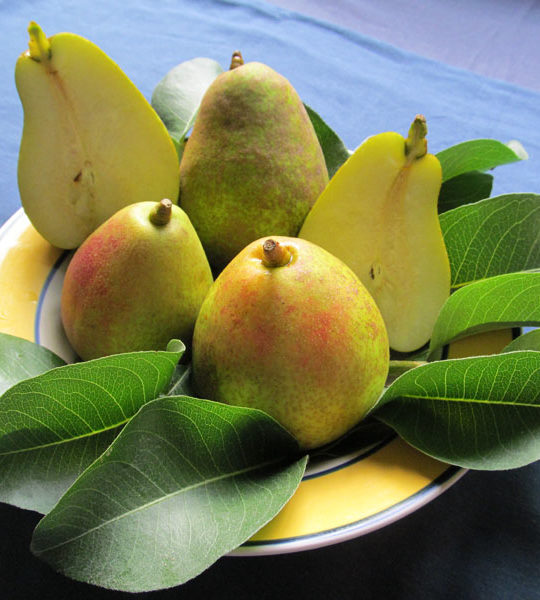 Just Fruits and Exotics | Family-Owned and Operated Since 1978