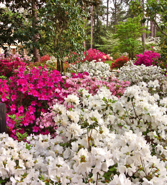 Just Fruits and Exotics | Family-Owned and Operated Since 1978